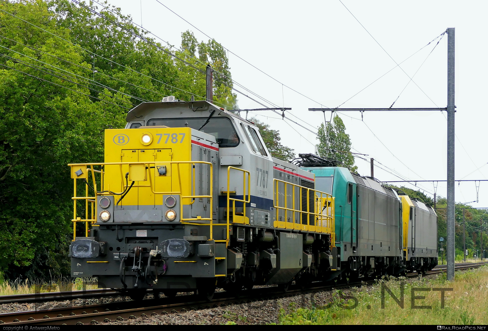 7787 - NMBS/SNCB Class 77 operated by Nationale Maatschappij van ...