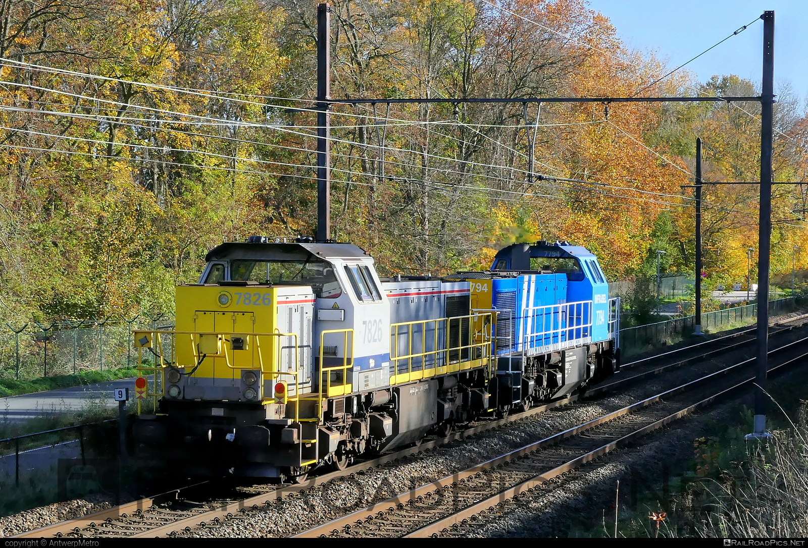 7826 - NMBS/SNCB Class 77 operated by INFRABEL N.V. - #infrabel, # ...